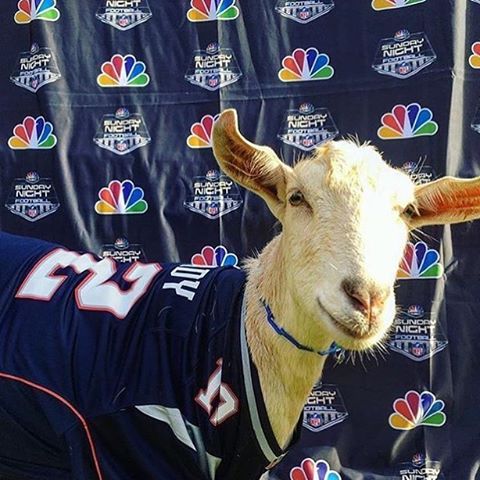 Time is a Flat Circle: Tom Brady Has Five Goats – The 300s